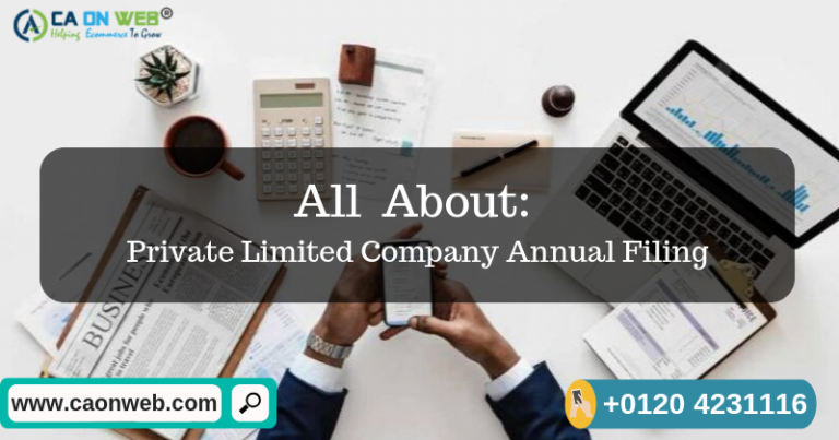 All About: Private Limited Company Annual Filing | Annual Filing